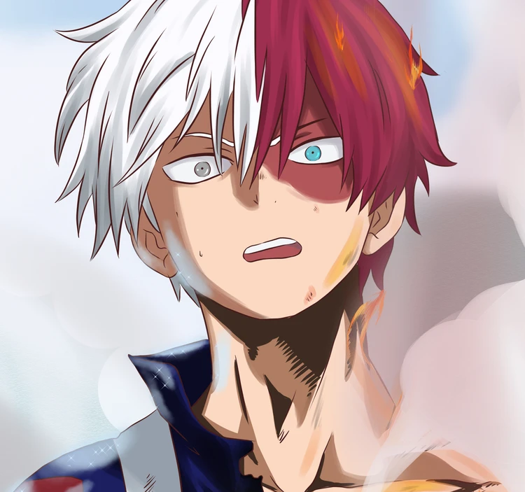 Shoto Todoroki: Profile, Biography, Personality Type | Boo