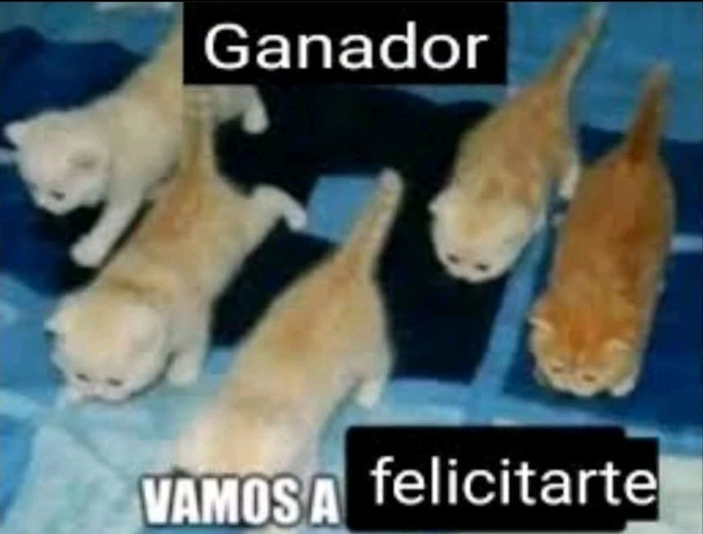 Ganador (Ganador vamos a felicitarte) | Universo de Memes - 21/08/2025 ...