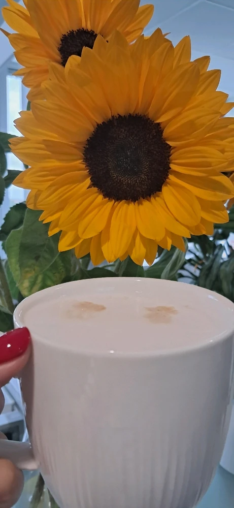 Boo | Randki, Zawieranie Przyjaźni, Dopasowanie Osobowości